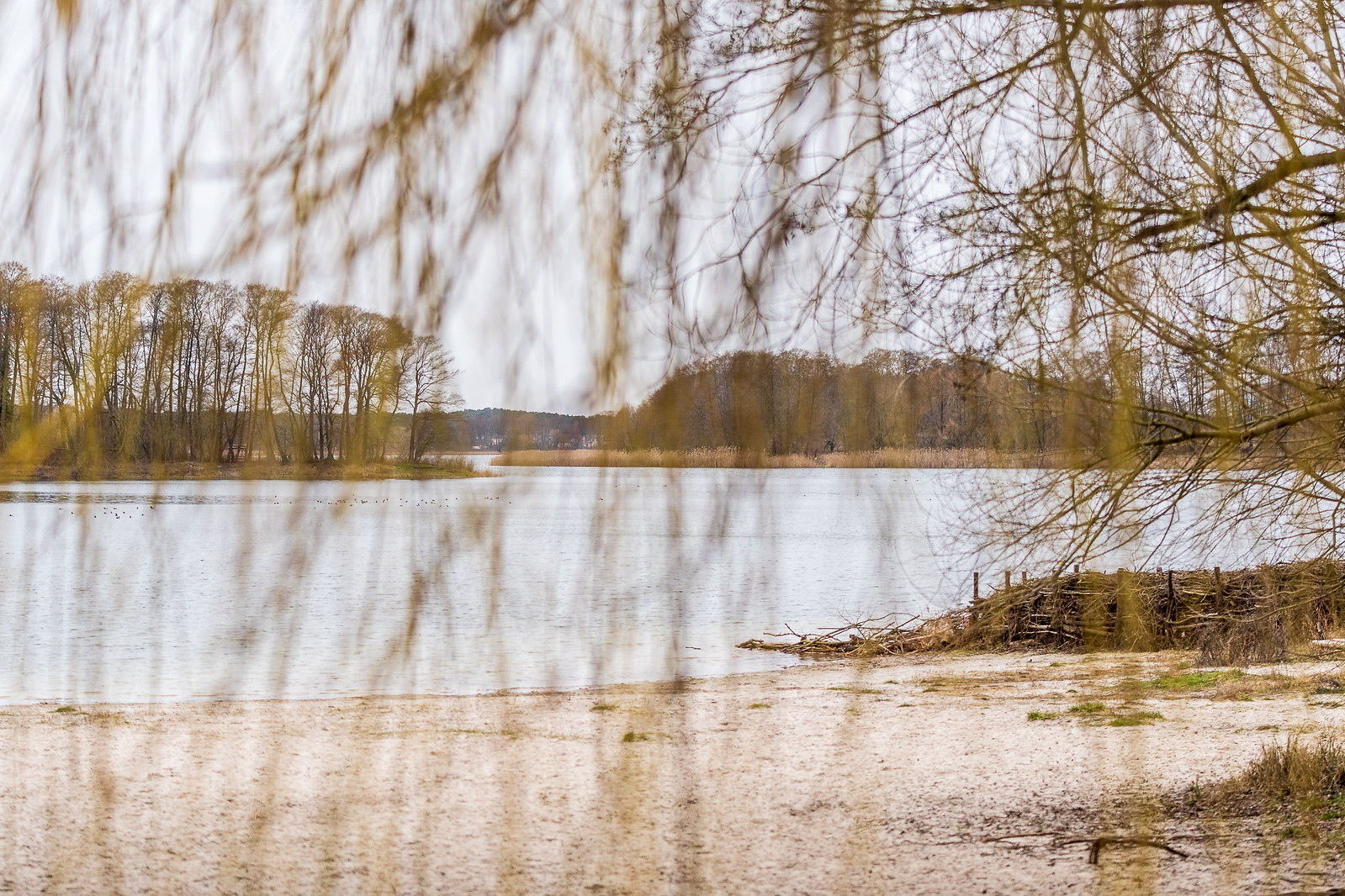 Seewanderung: Großer und Kleiner Seddiner See